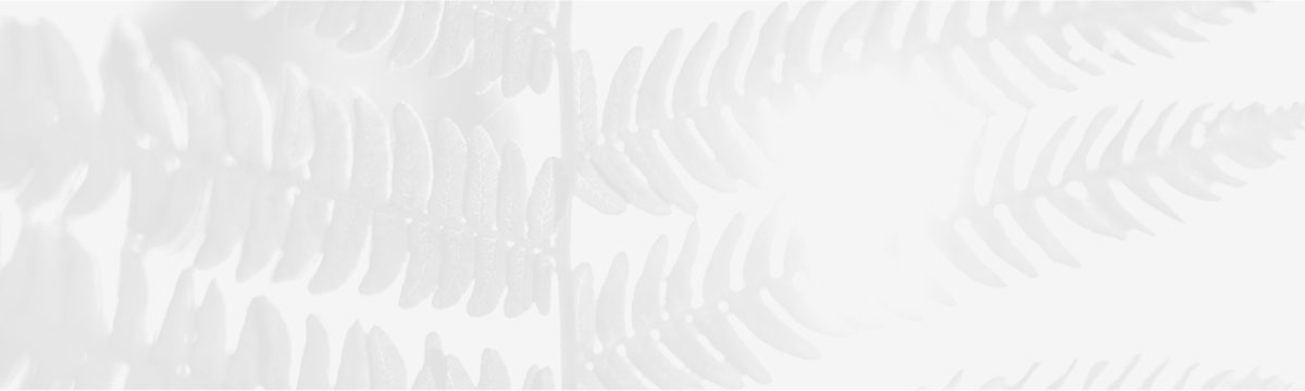 CTA_Background | Debrah Englert